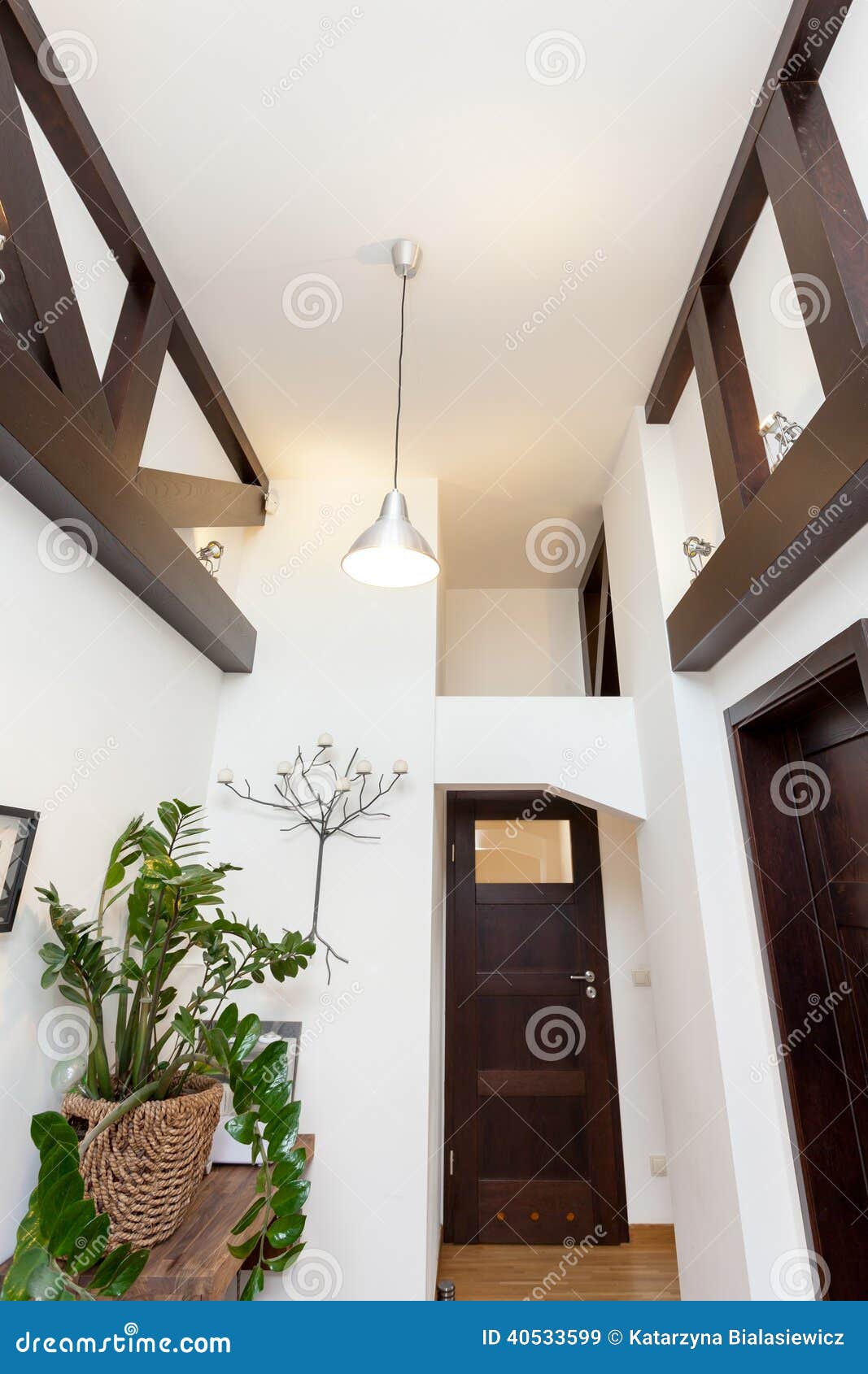 Vertical View of Hall in House Stock Image - Image of furniture ...
