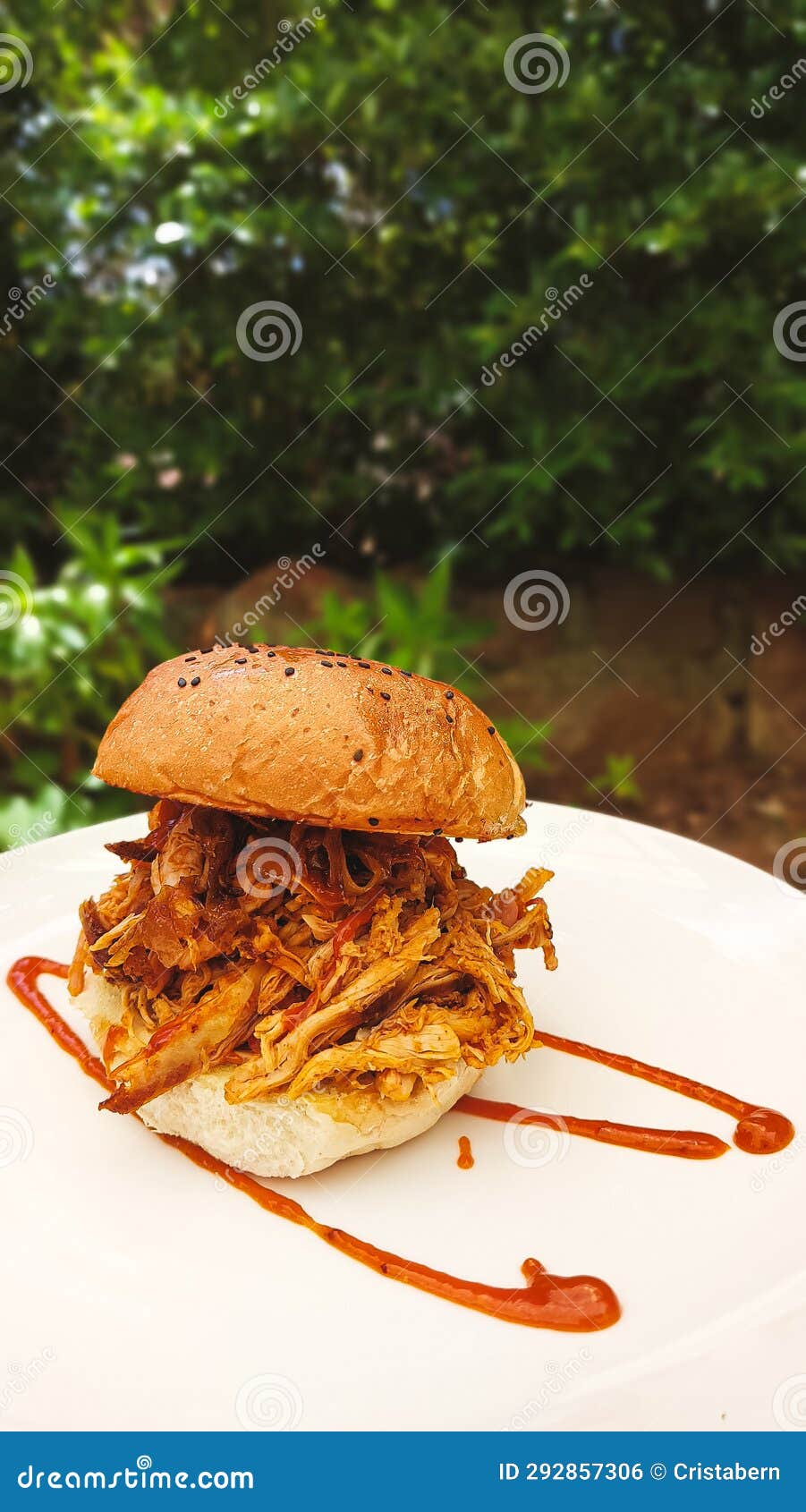 Pulled Chicken Burger on a Plate Stock Photo - Image of vertical ...