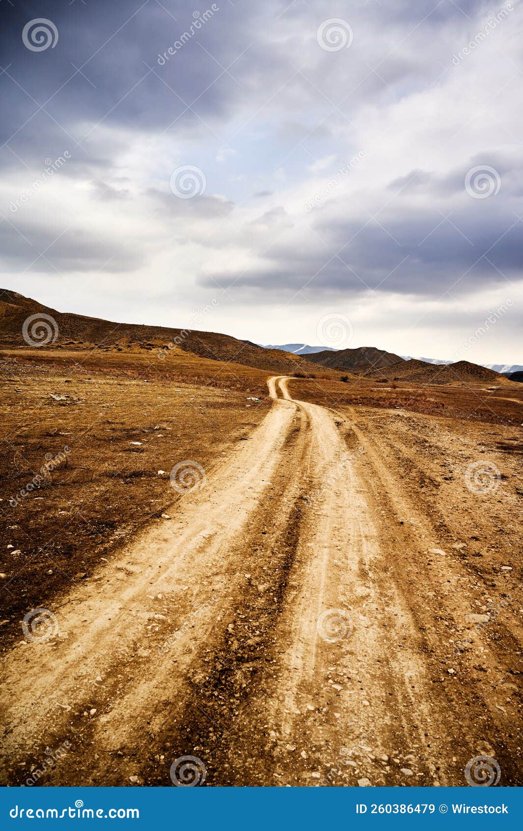 Vertical View of a Narrow Pathway Passing through a Soil Field Stock ...