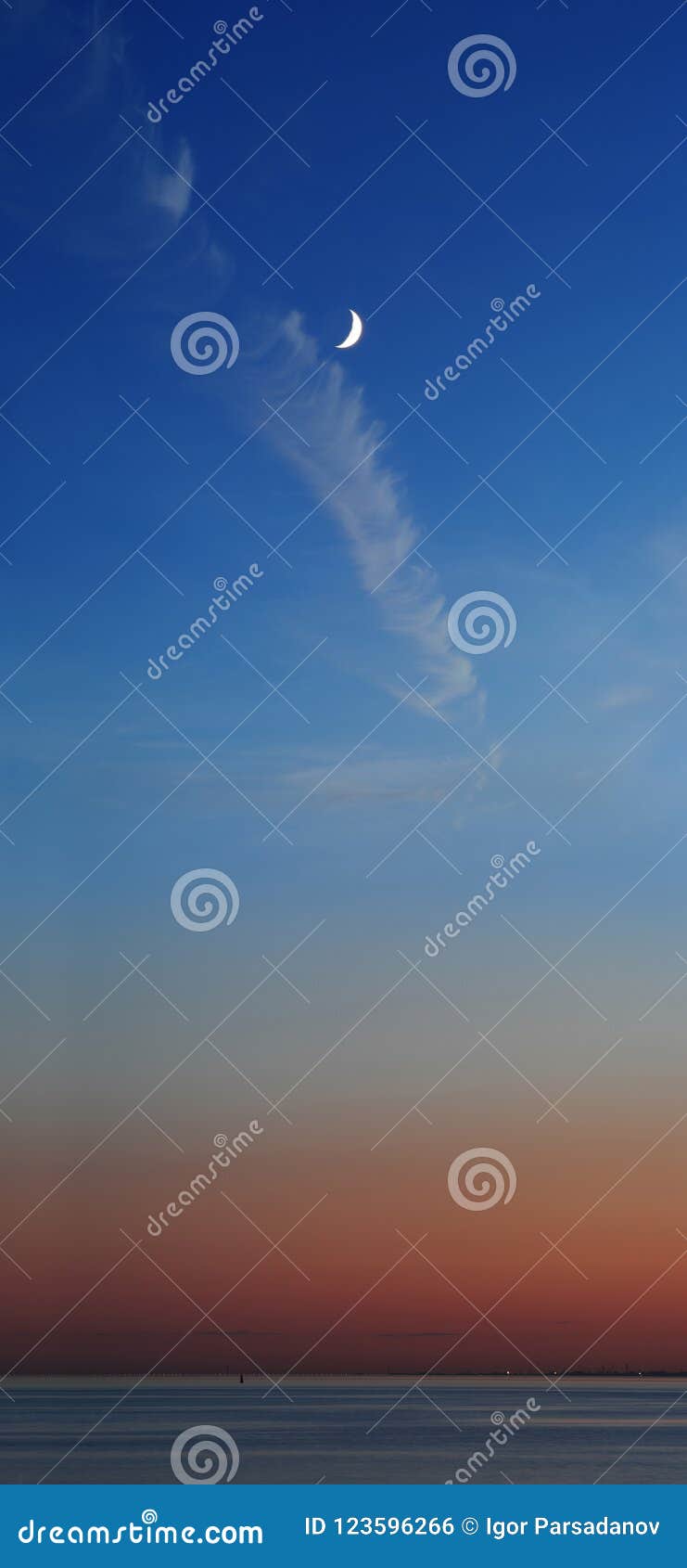 Vertical Moon Texture Background Royalty-Free Stock Photography ...