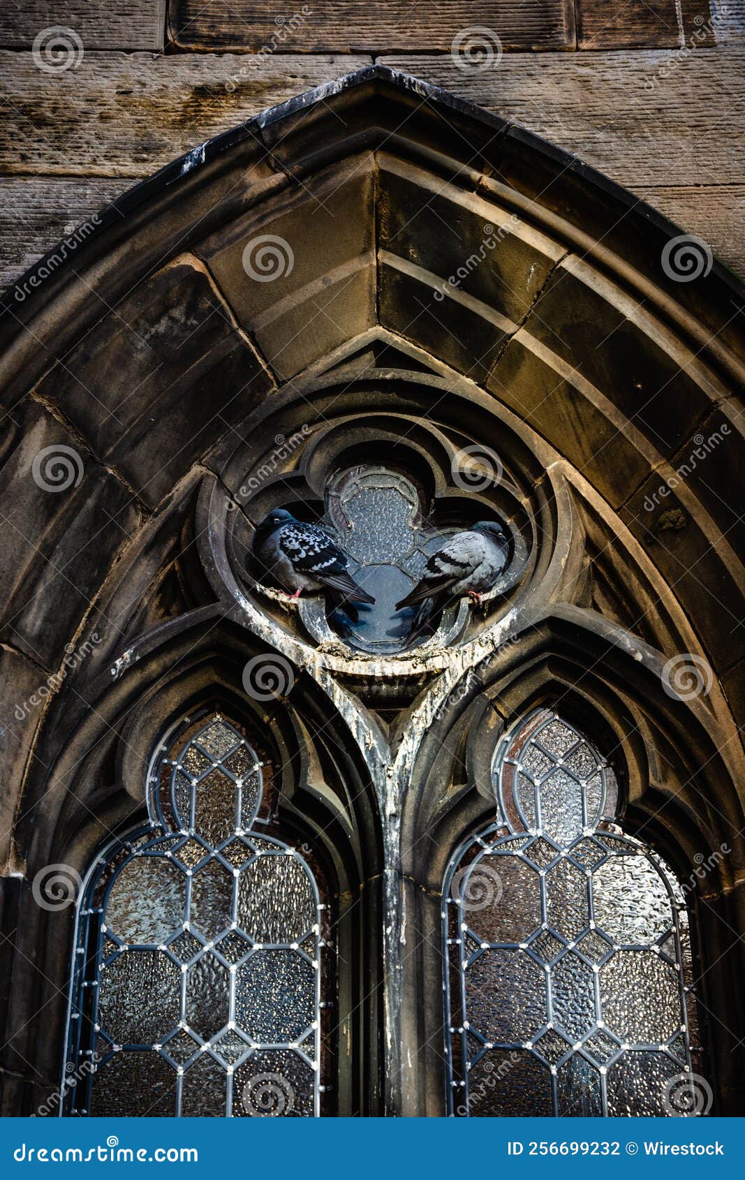 Vertical View of an Old Gothic Window Exterior on a Cathedral Wall with ...