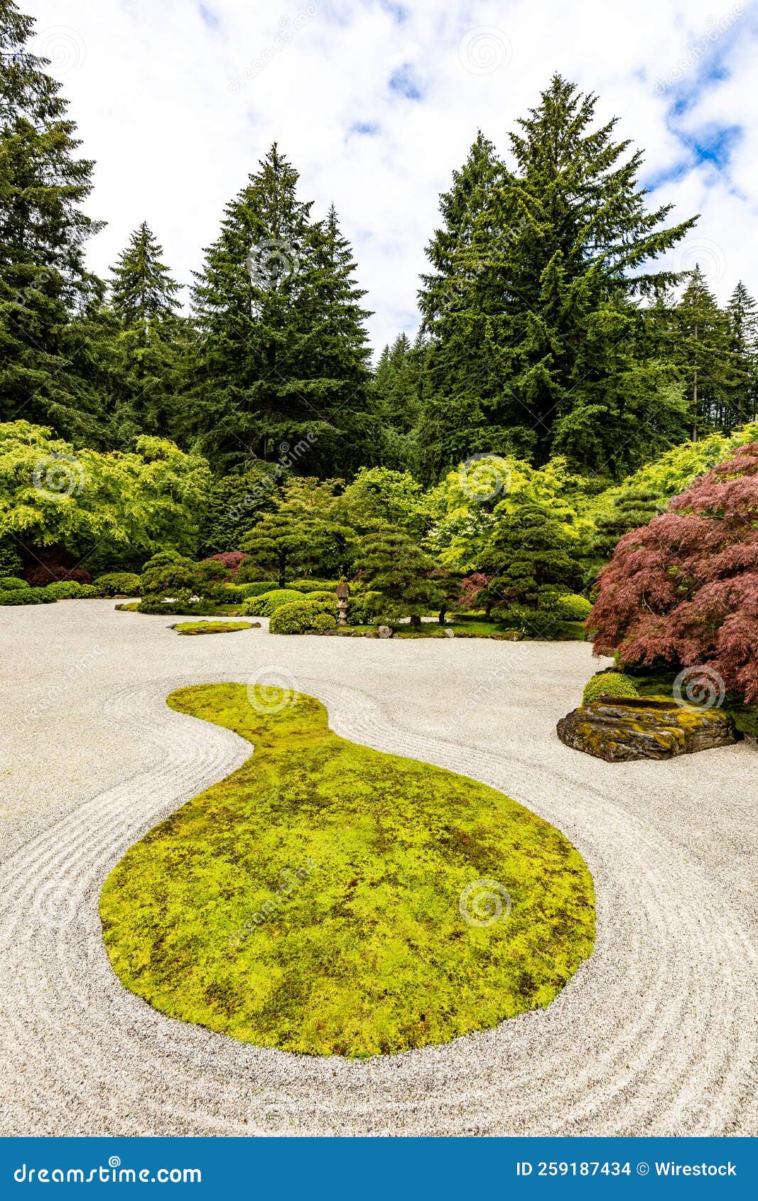 Vertical View of the Pathway and Trees of a Botanical Garden Under the ...