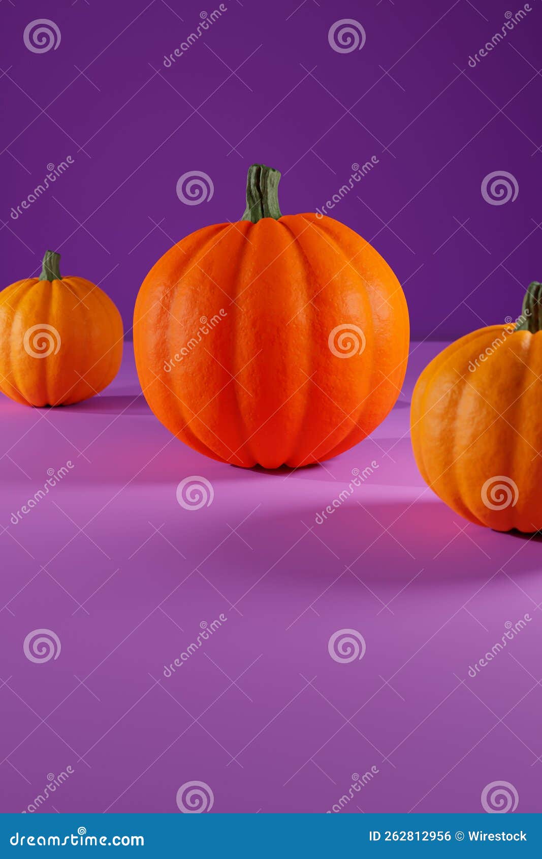 Vertical View of Pumpkins Isolated in Purple Background Stock Photo ...