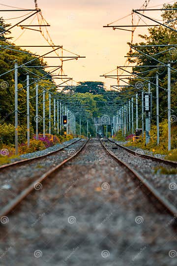 Vertical View of Railways and Columns before the Trees at Sunset Stock ...