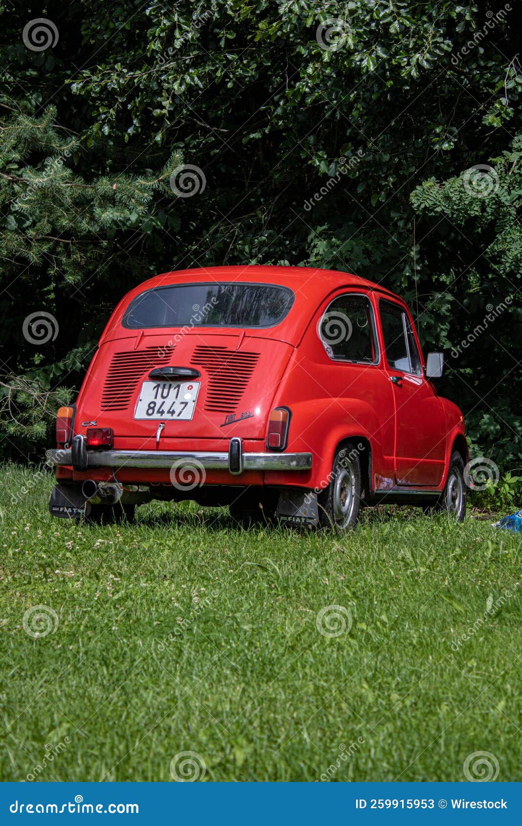 Vertical View of a Red Fiat 600 from Behind, Parked on the Grass ...