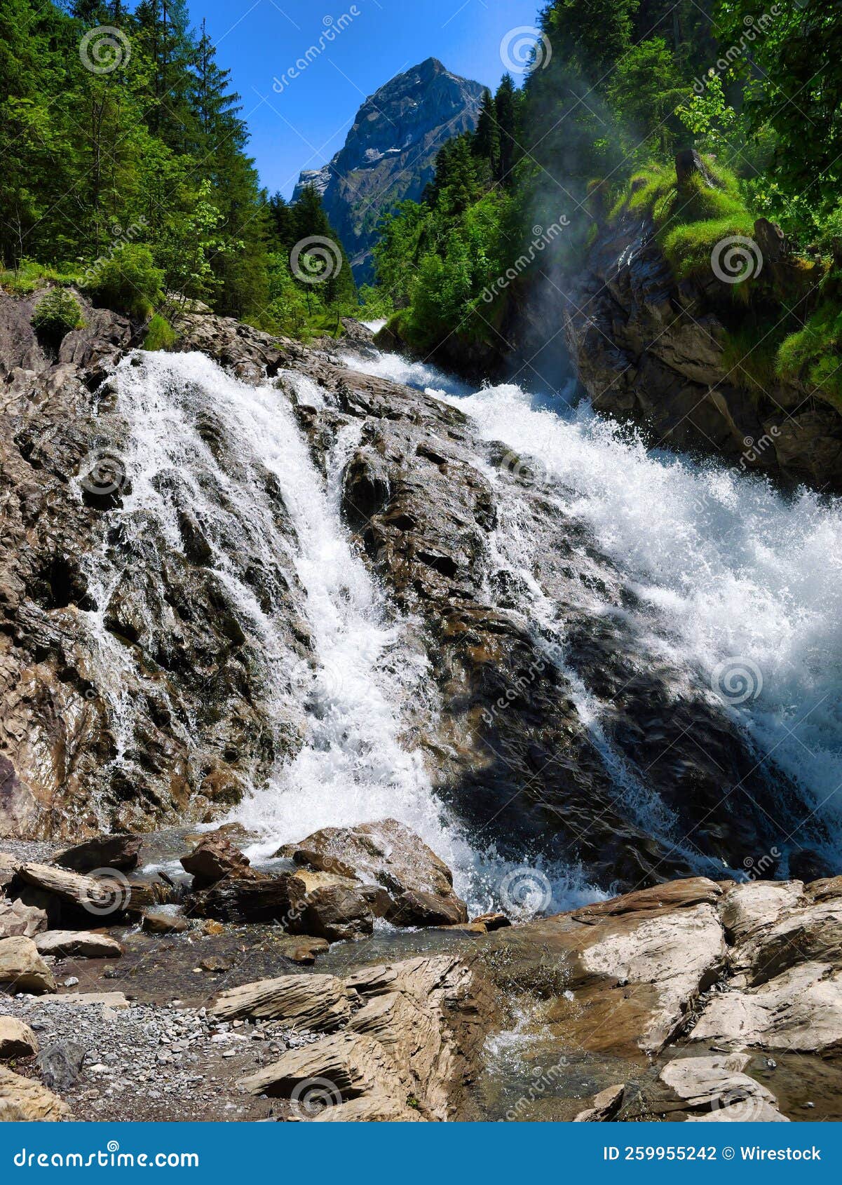 Vertical View of a River Falling Down a Rocky Slope in the Forest Under ...