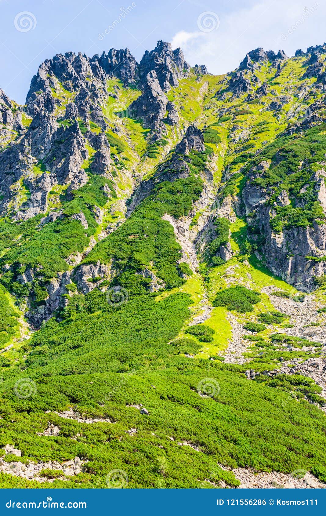 Vertical View of the Sharp Peak of the Mountains of High Tatras Stock ...