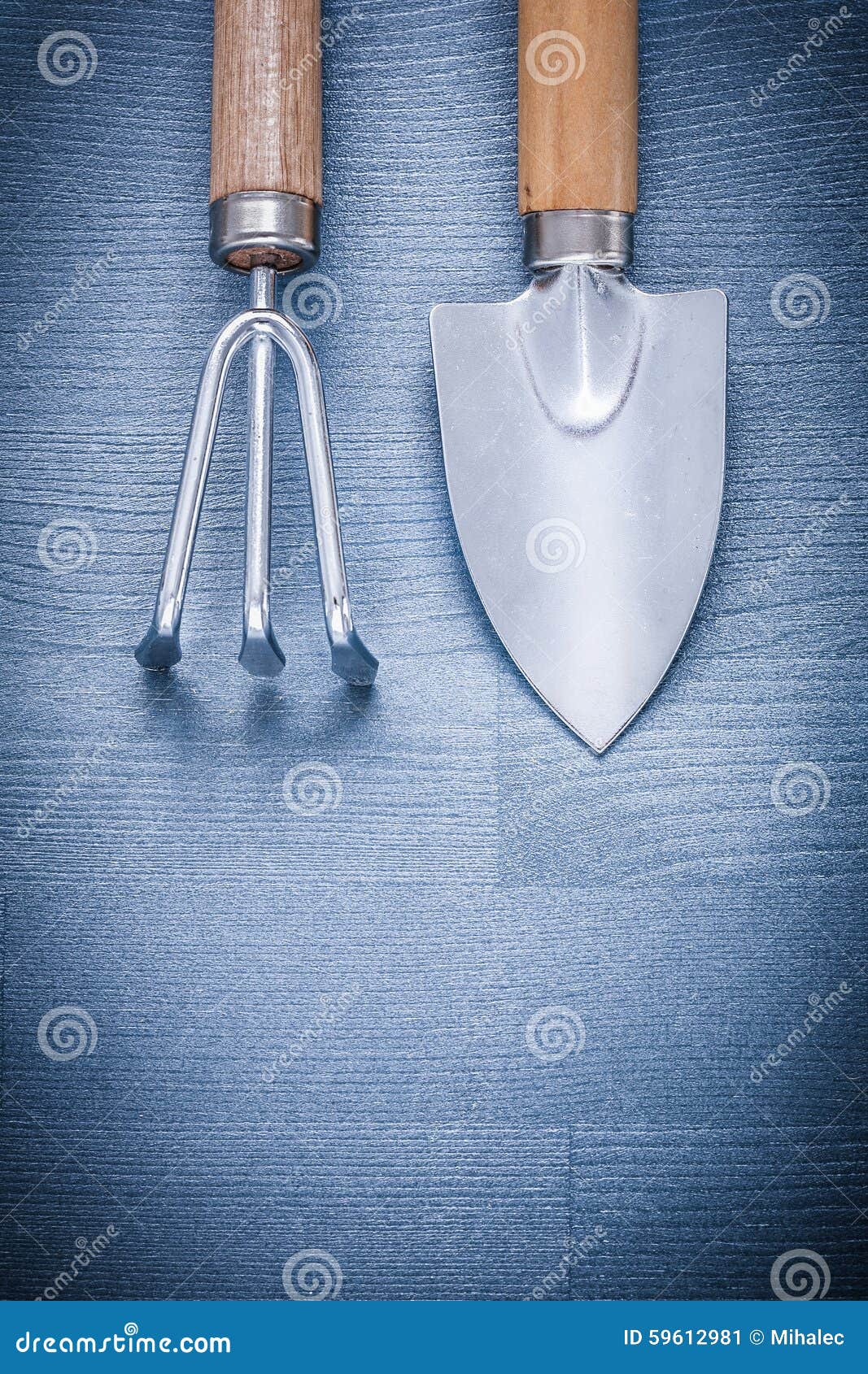 Vertical View Small Garden Hand Tools Fork and Spade Stock Image ...