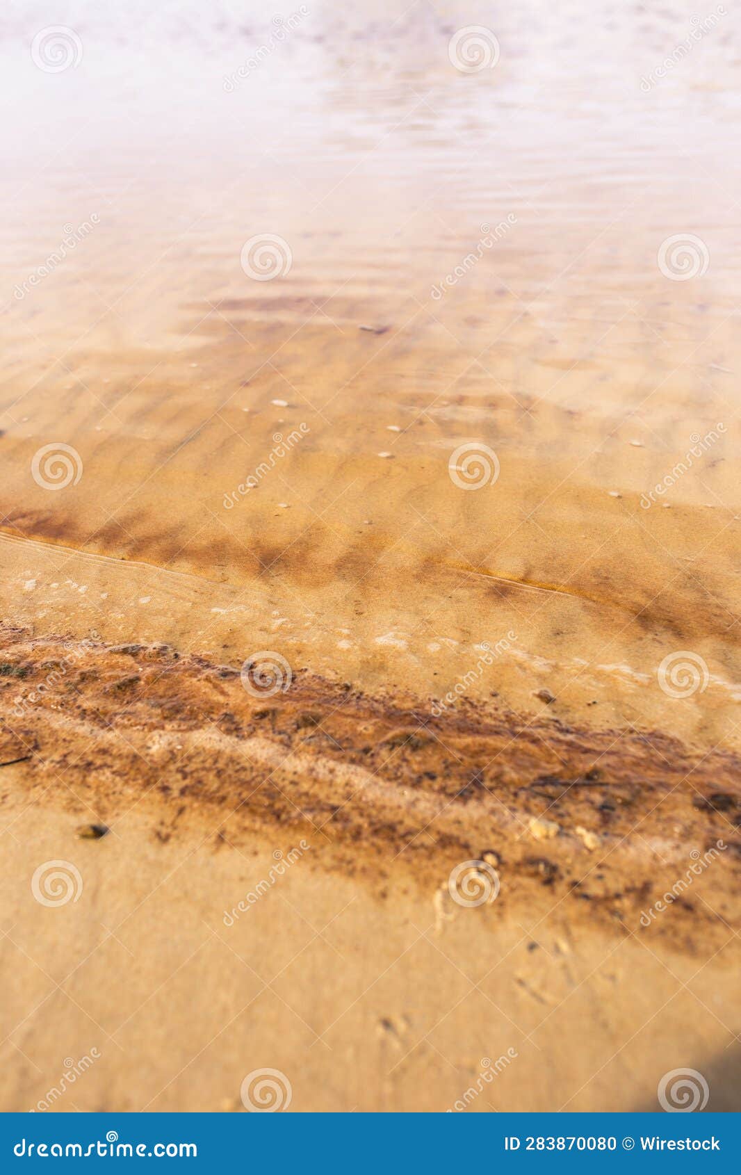 Vertical View of Small Sandy Patterns in the Shallow Waters of the ...