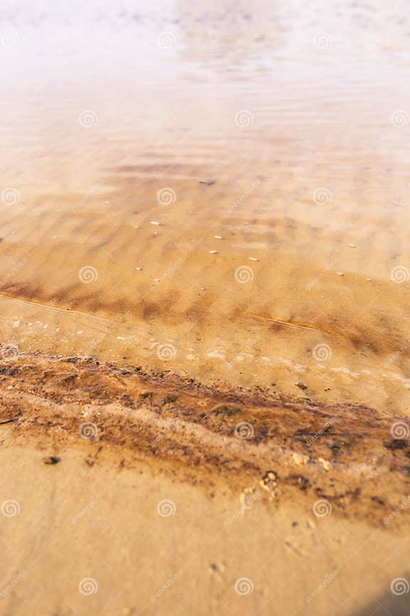 Vertical View of Small Sandy Patterns in the Shallow Waters of the ...