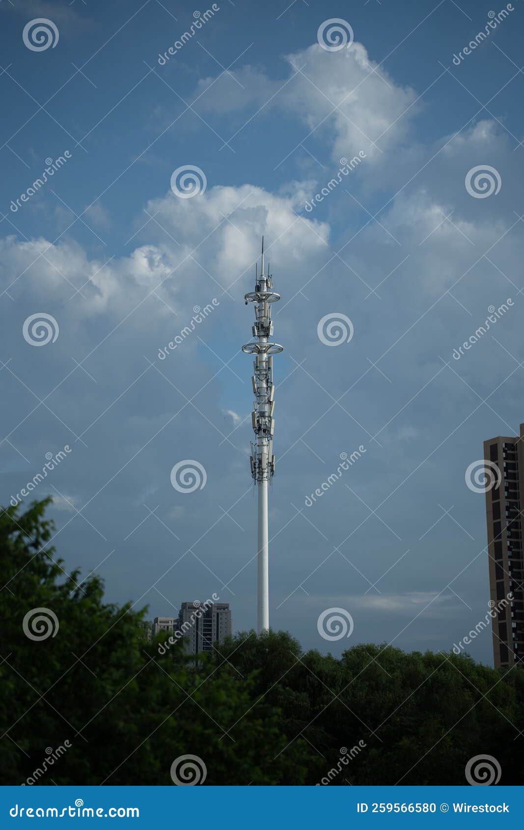 Vertical View of a Telecom Radar Above the Trees Under the Blue Sky ...