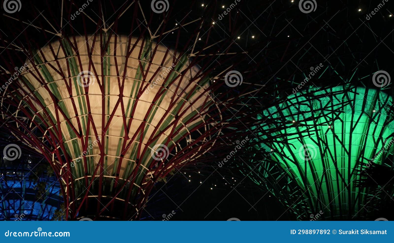 Vertical View To the Supertree Modern Architecture Tree Design with ...