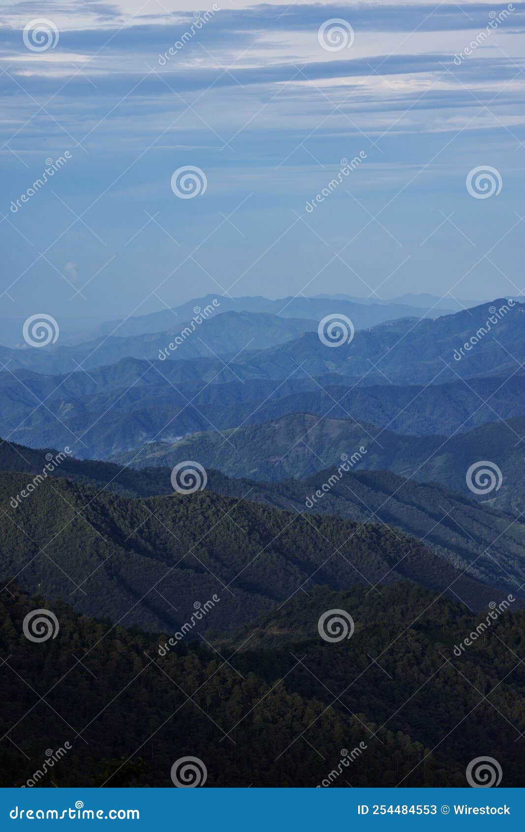 Vertical View of the Tree-covered Mountains Landscape Under the Blue ...