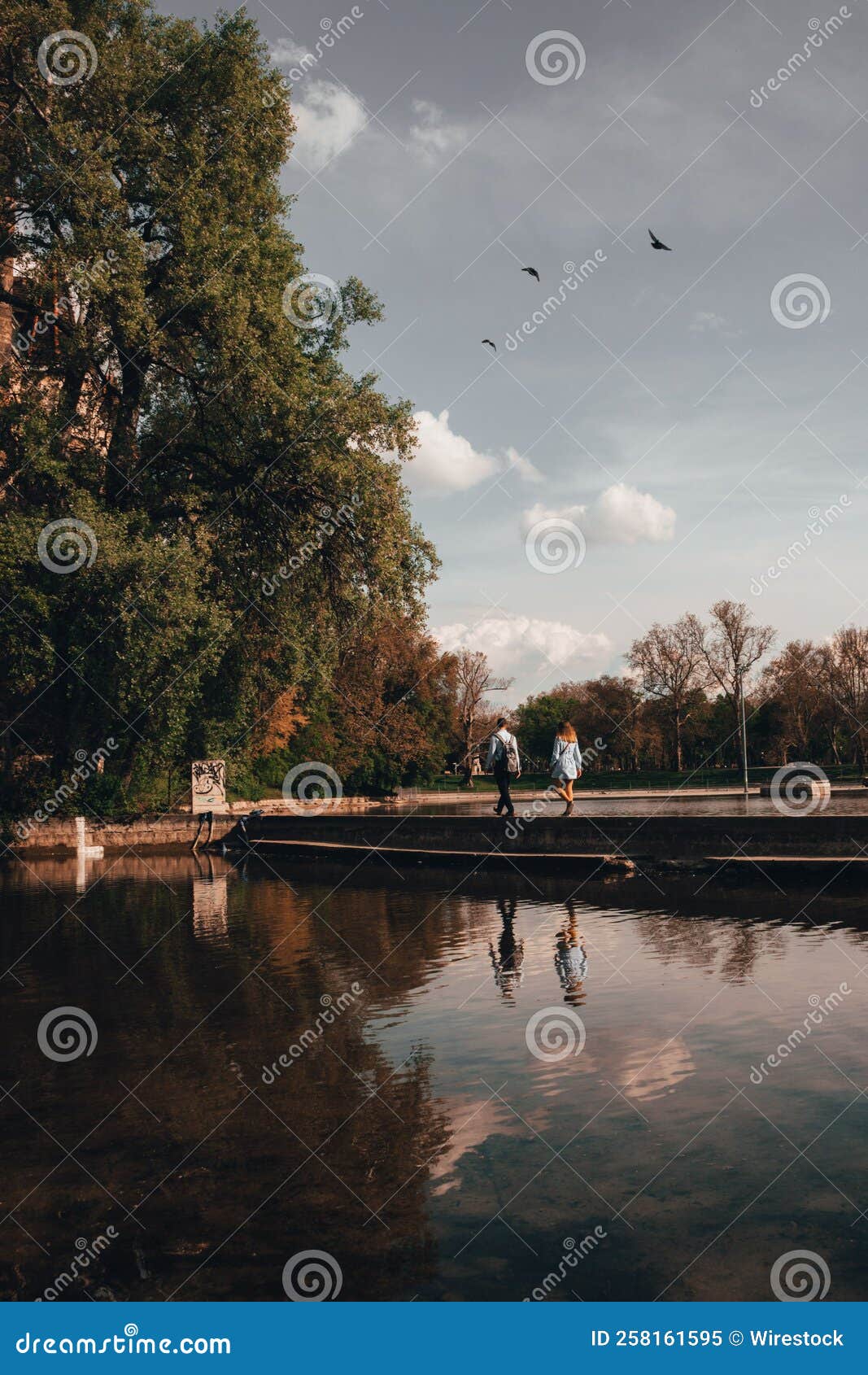 Vertical View of Trees and People Reflecting on the Water of a Pond in ...