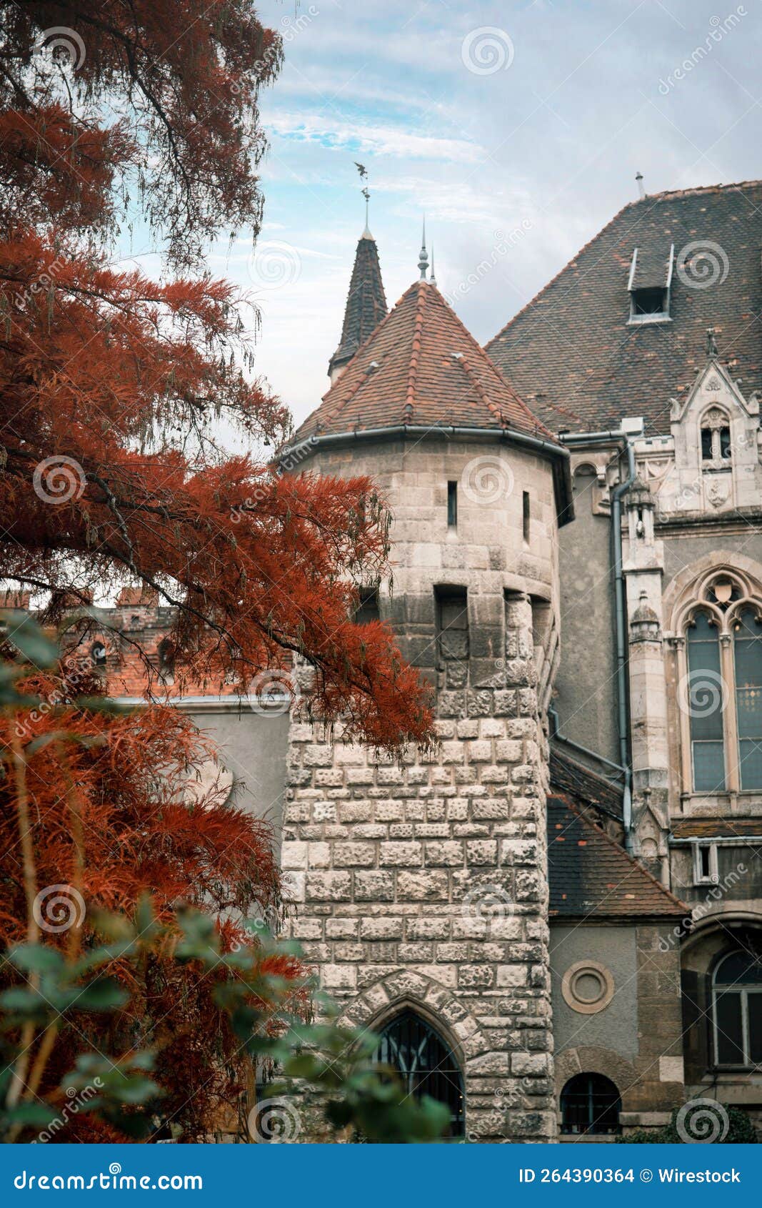 Vertical View of the Vajdahunyad Castle, Budapest Stock Photo - Image ...