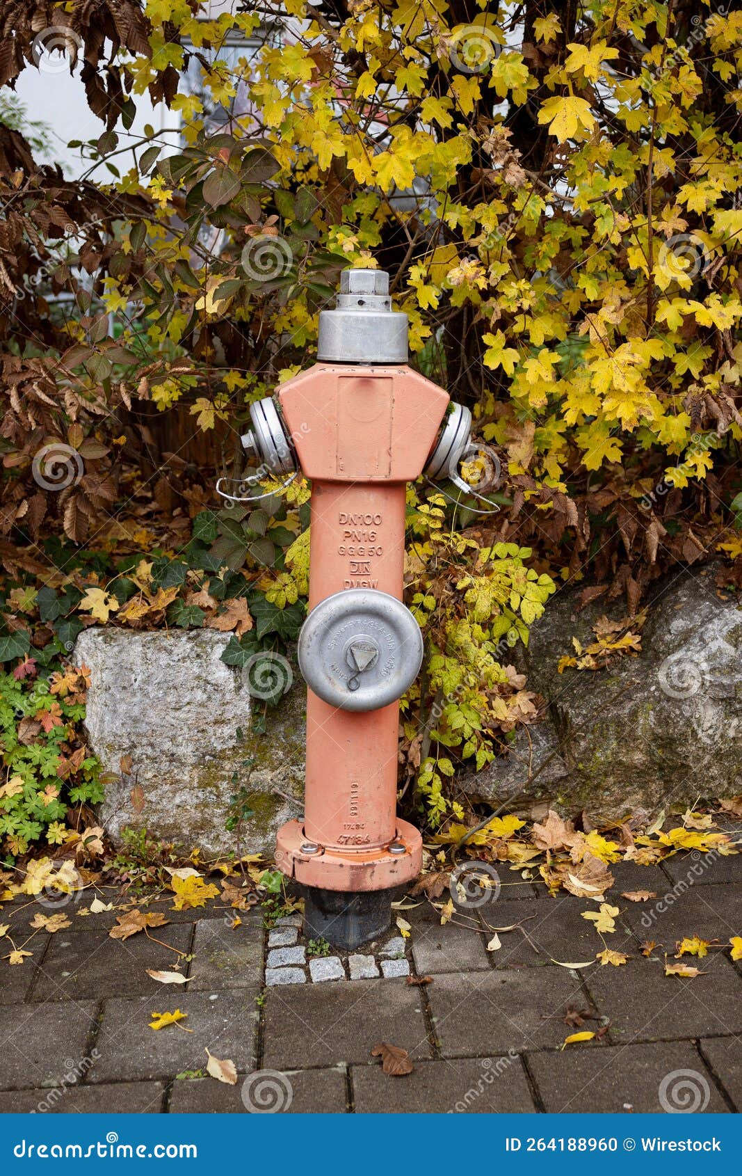 Vertical View of a Vintage Fire Hydrant before the Plants on an Autumn ...