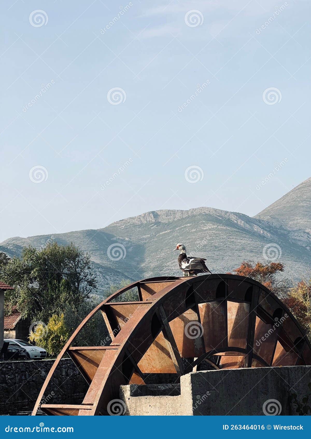 Vertical View of a Water Wheel with a Bird on the Top Stock Photo ...