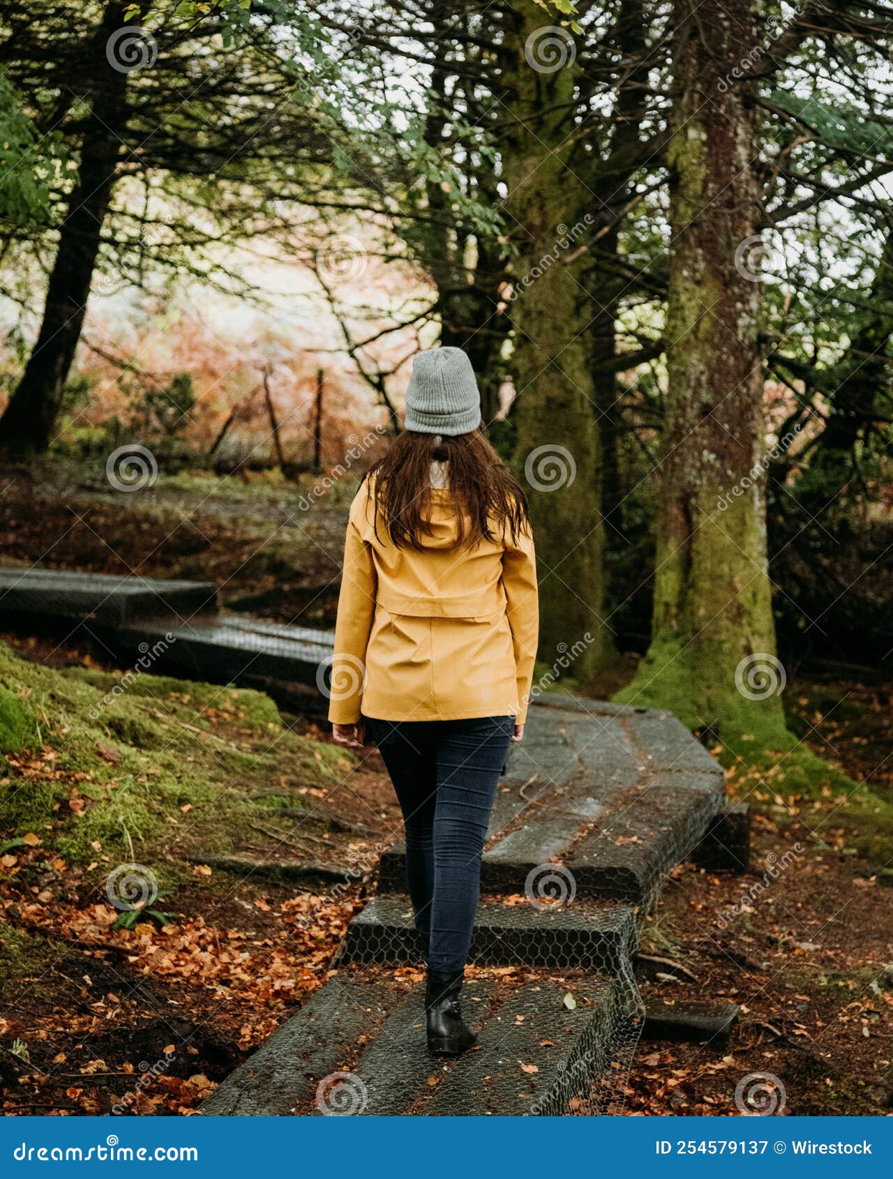 Vertical View of a Woman from Behind, Walking on the Pathway of a Park ... Vertical View of a Woman from Behind, Walking on the Pathway of a Park ...