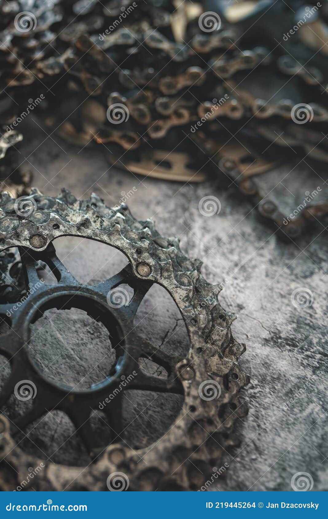 Vertical View of Worn Mountain Bike Components Cassette and Chain ...