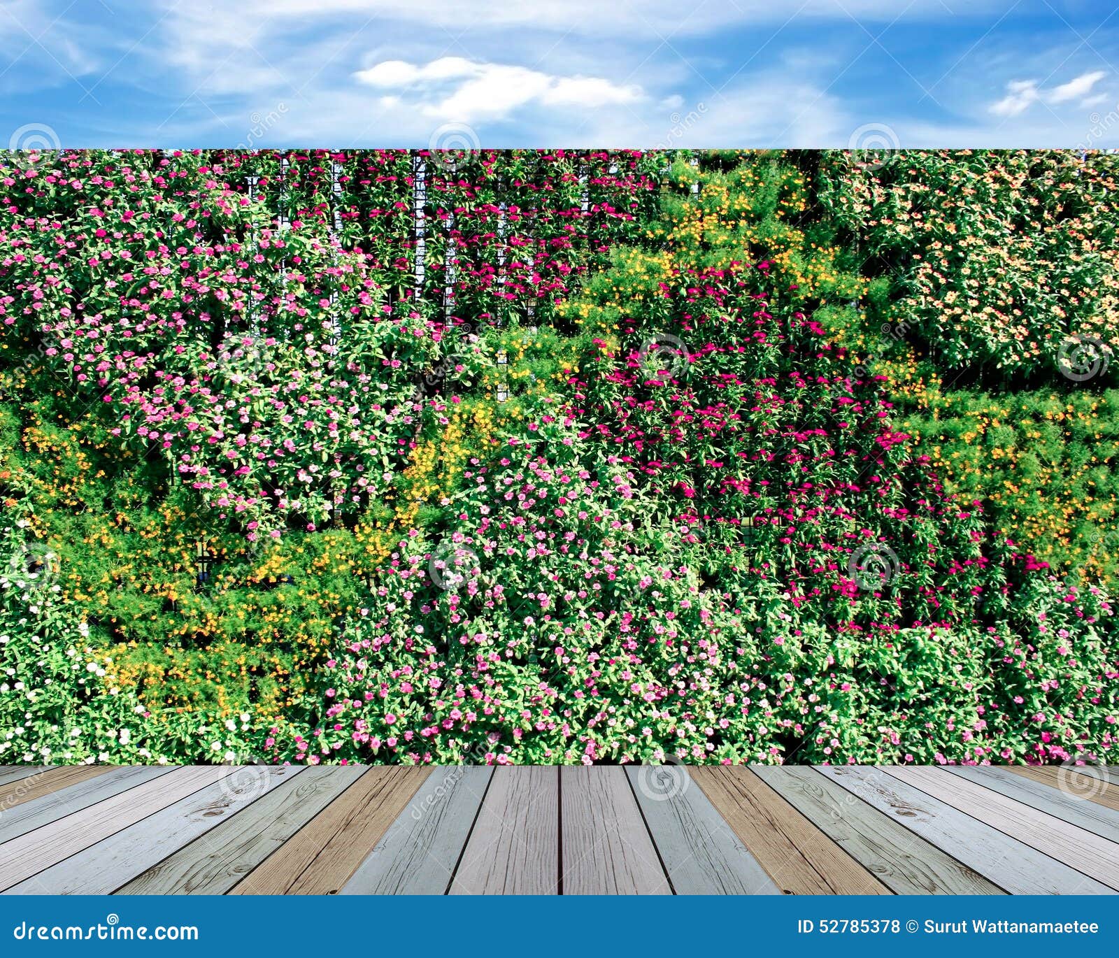 Vertical wall garden stock photo. Image of gardening - 52785378