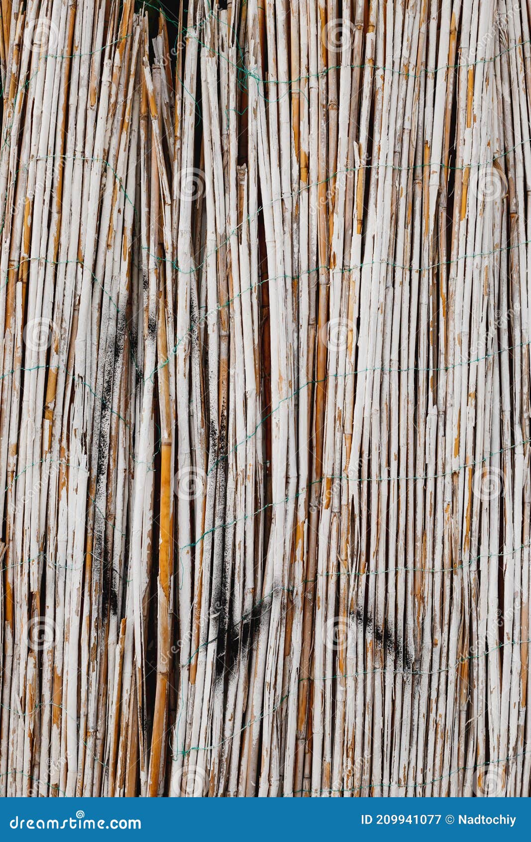 Vertical Wall Texture of White Painted Bamboo. Stock Image - Image of ...