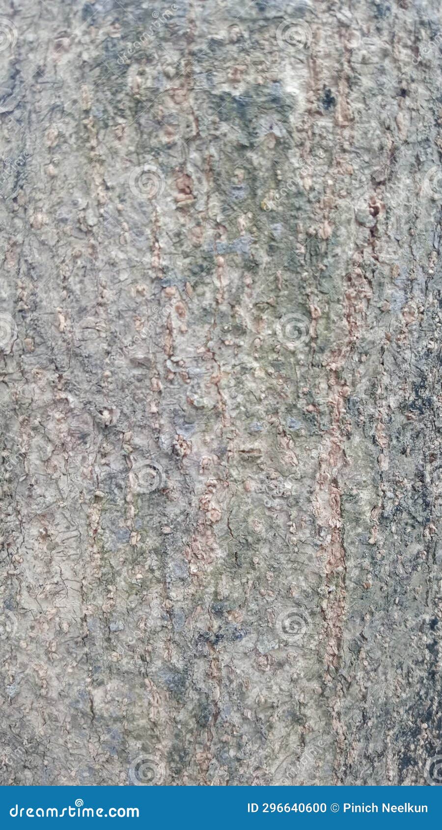 16:9 Vertical Wallpapers, Wood Textures, Tree Bark, Natural Wood ...