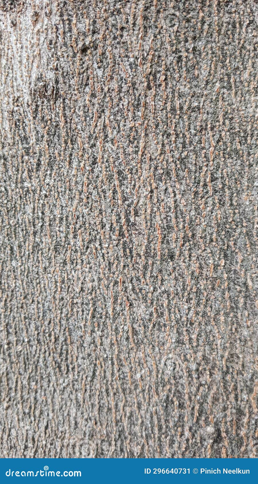 16:9 Vertical Wallpapers, Wood Textures, Tree Bark, Natural Wood ...