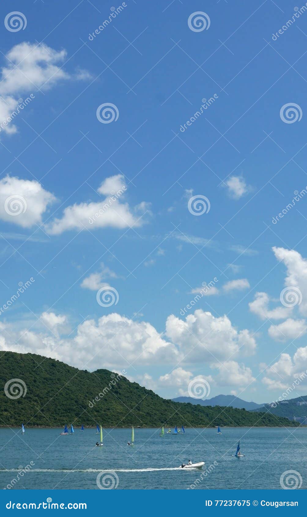 Vertical Water Sport Windsurfing, Blue Sky, White Cloud Stock Image ...