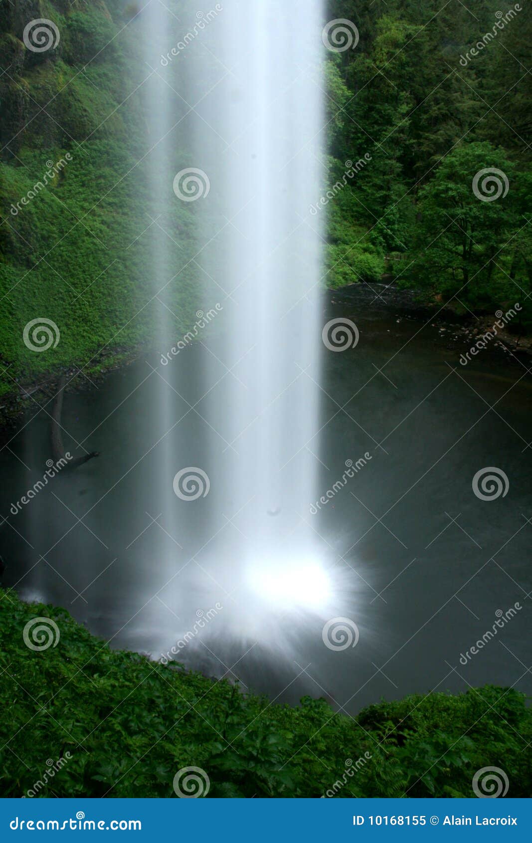 Vertical waterfall stock image. Image of fluids, creek - 10168155