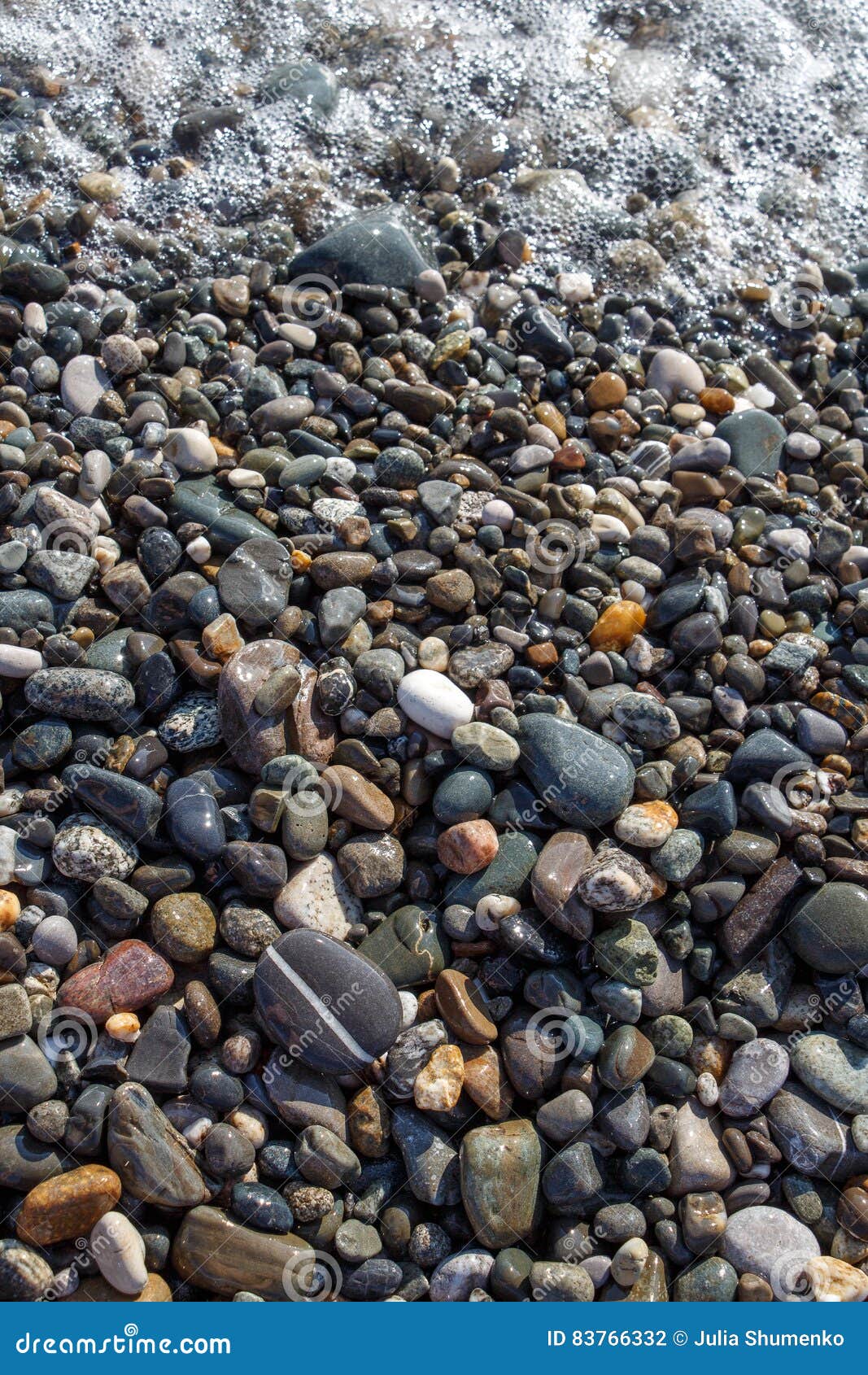 Vertical Wet Bright Shining Colored Pebble Stones and Sea Foam Stock ...