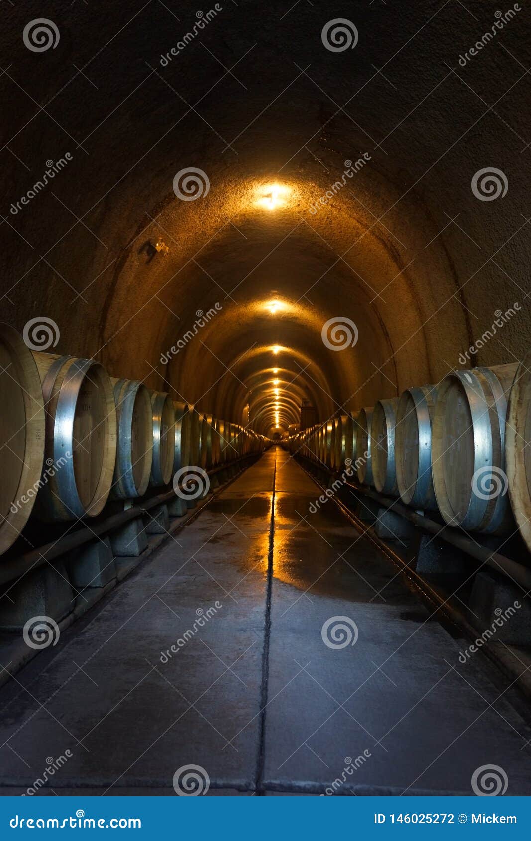 Vertical Wine Barrel Storage in Cellar Cave Stock Photo - Image of ...