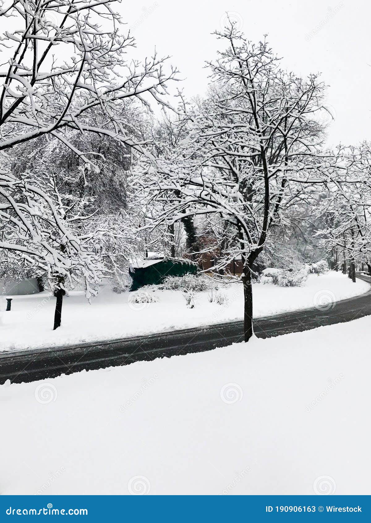 Vertical Winter Landscape with Snow-covered Trees Stock Image - Image ...
