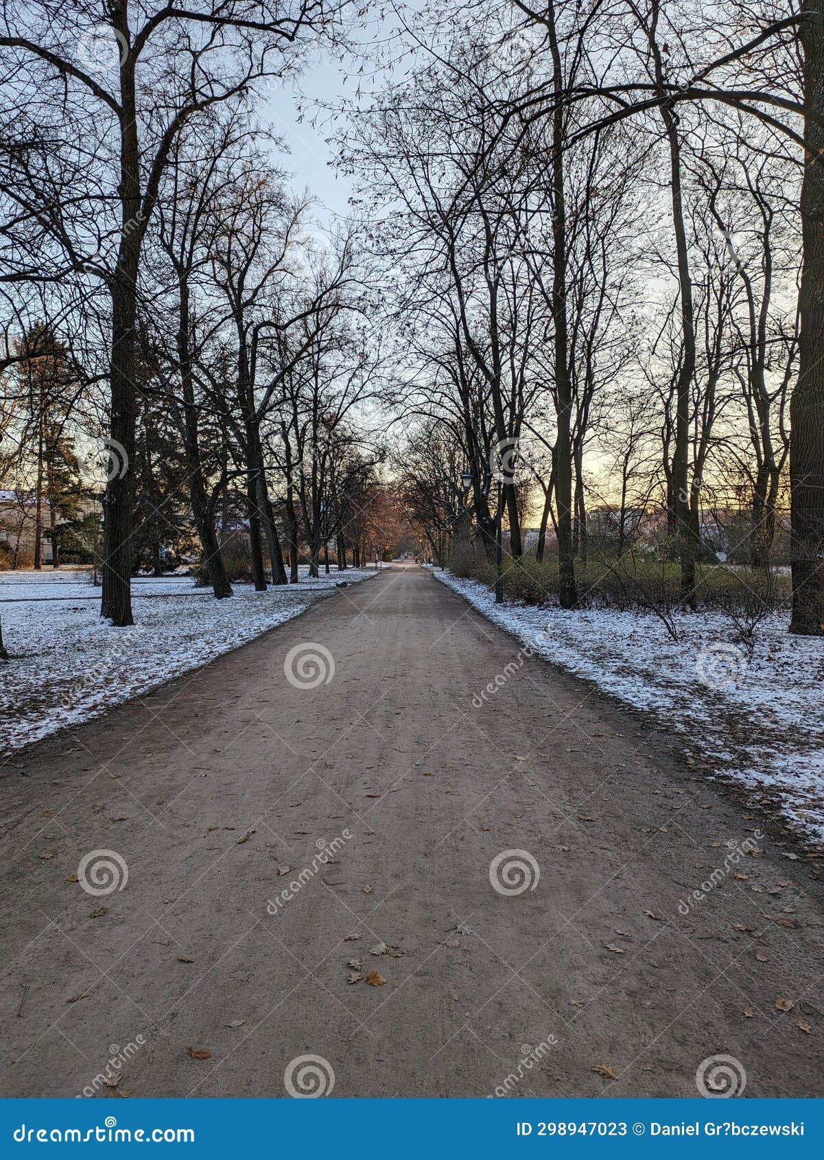 In this Vertical Winter Panorama, a Wide Path Gracefully Winds through ...