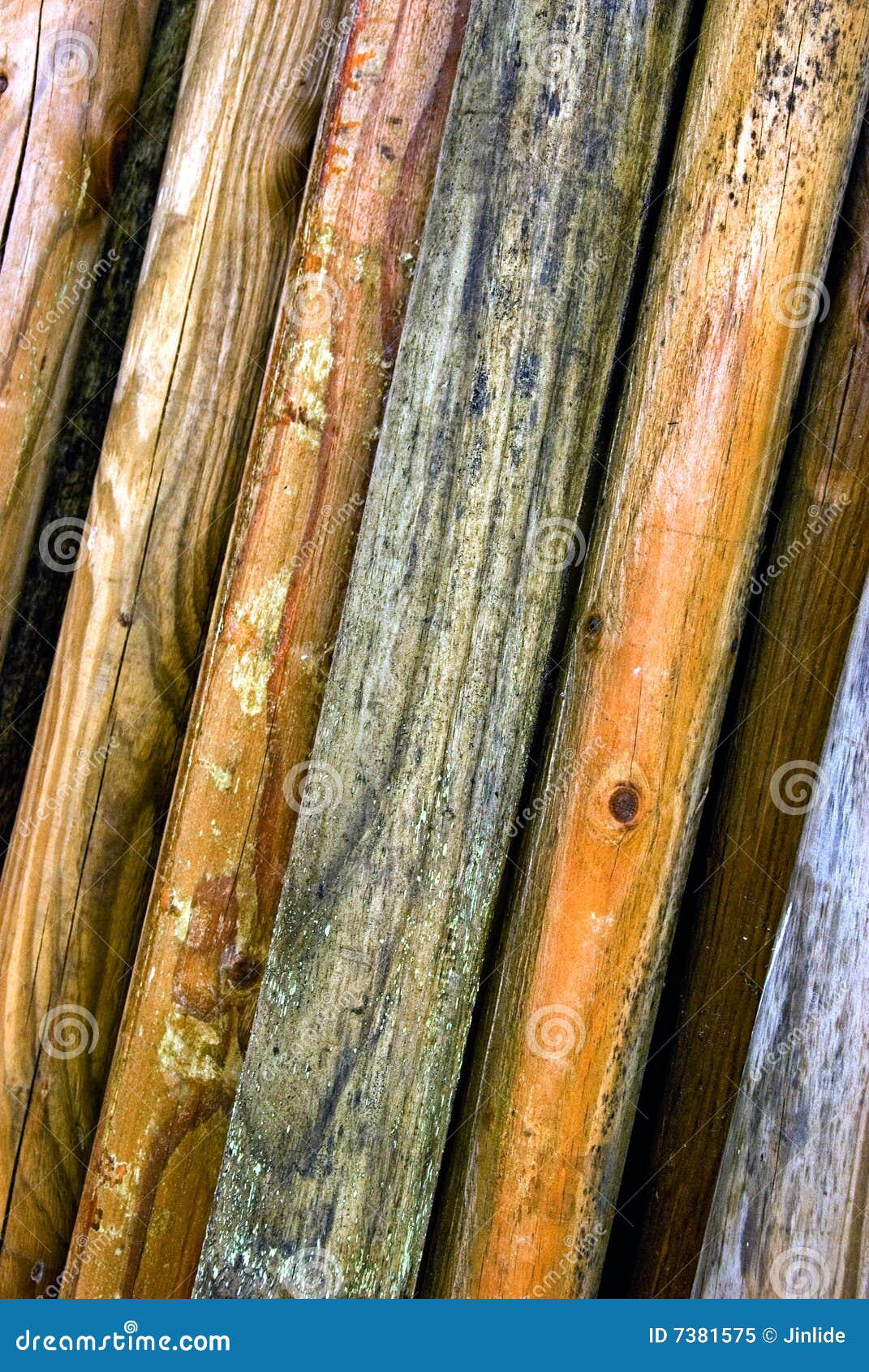 Vertical Wood Log Background Stock Image - Image of material, grain ...