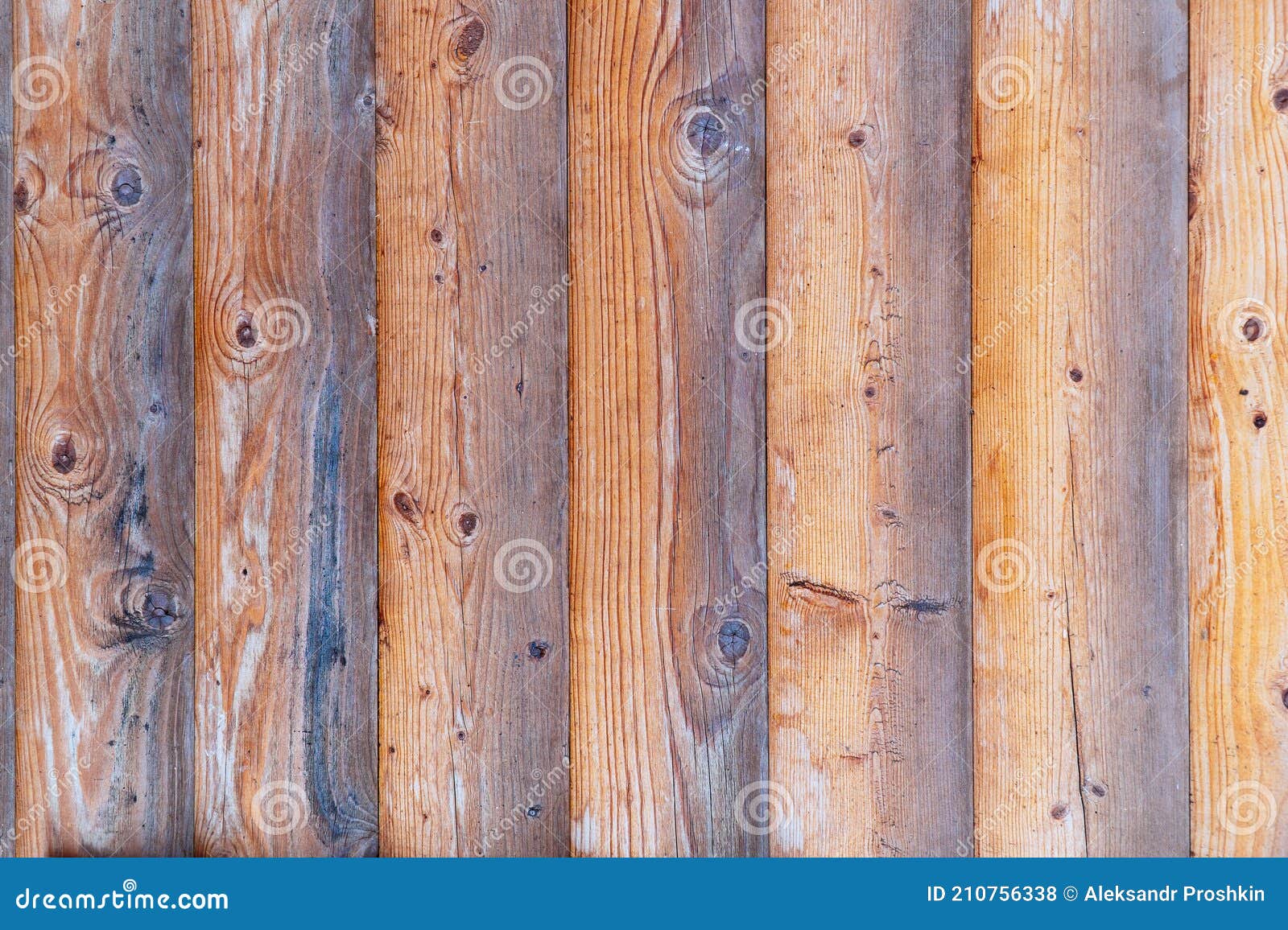 Vertical Log wall texture stock photo. Image of sample - 210756338