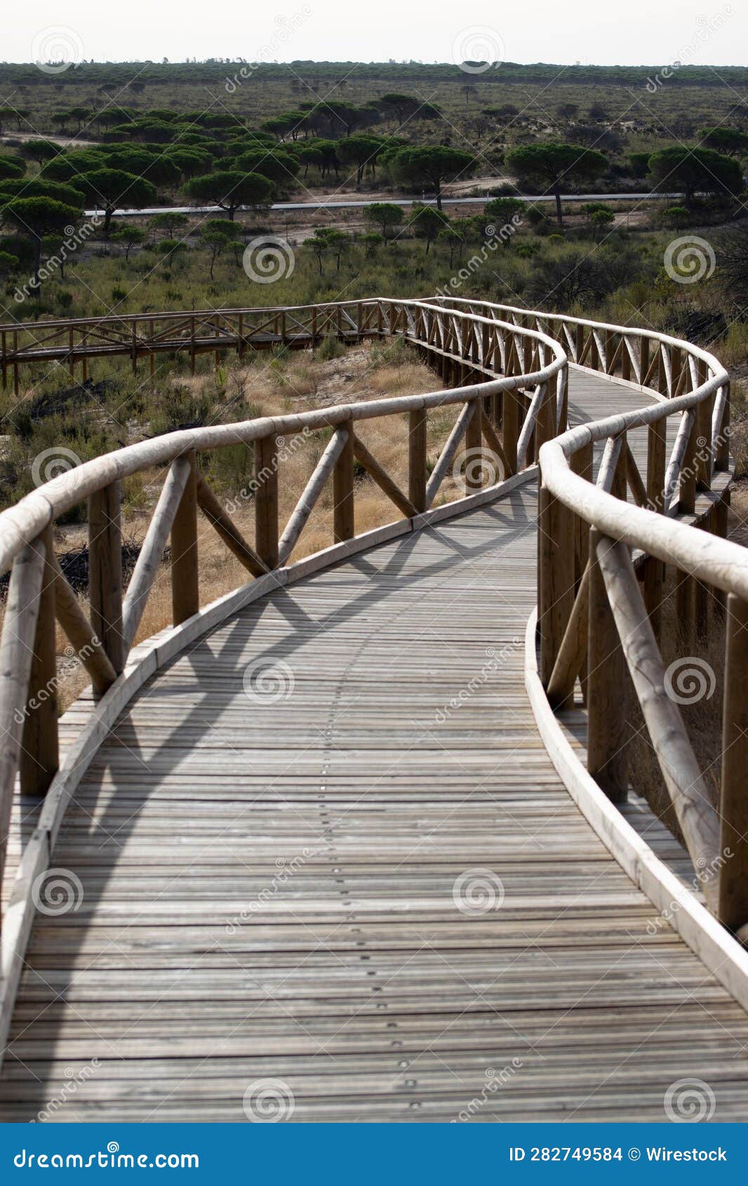 Vertical of a Wooden Pathway with Handles in a Green Field Stock Photo ...