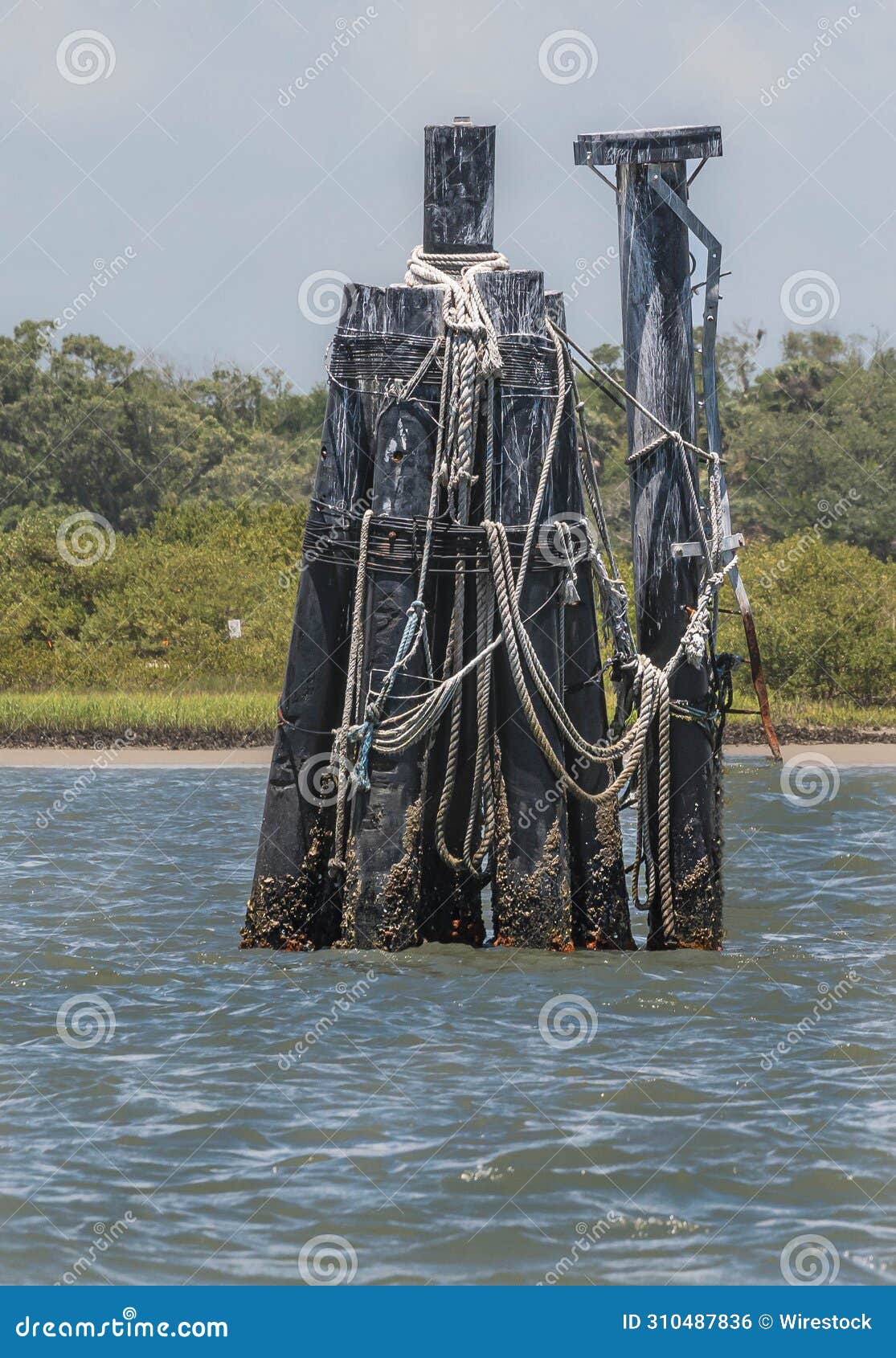 Vertical of Wooden Pillars Wrapped with a Rope in a Lake Stock Photo ...
