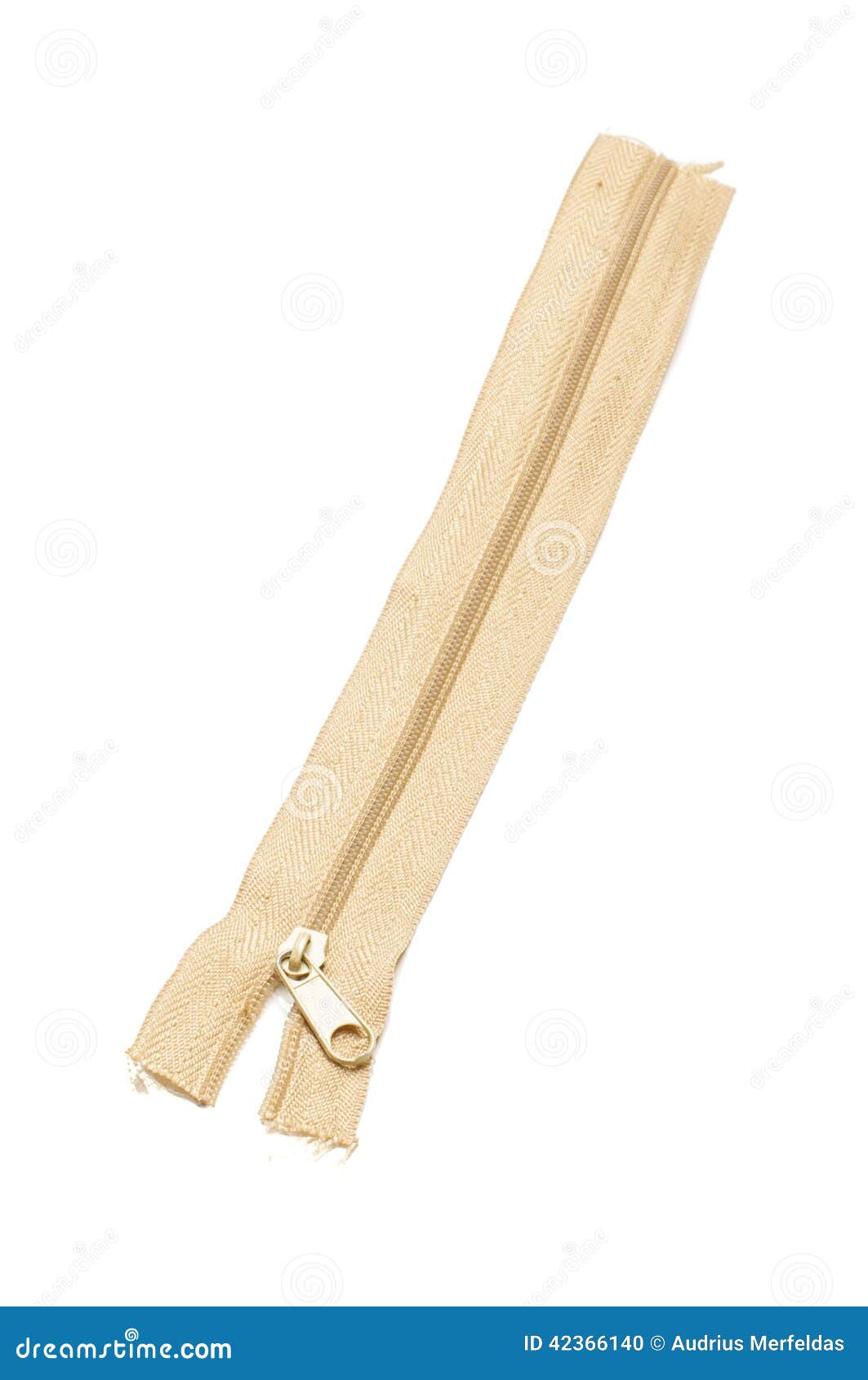 Vertical Zipper Isolated on the White Background Stock Photo - Image of ...