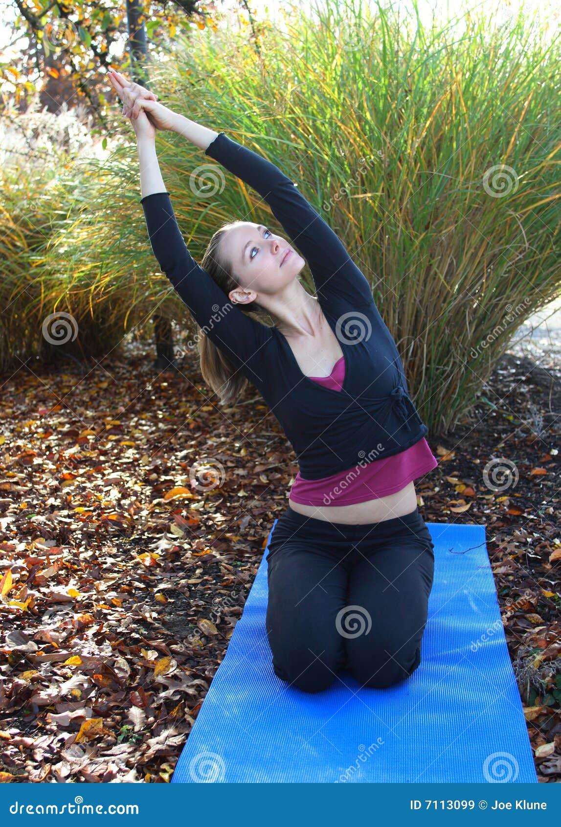 Verticale De Forme Physique Image stock - Image du aptitude, blonde ...