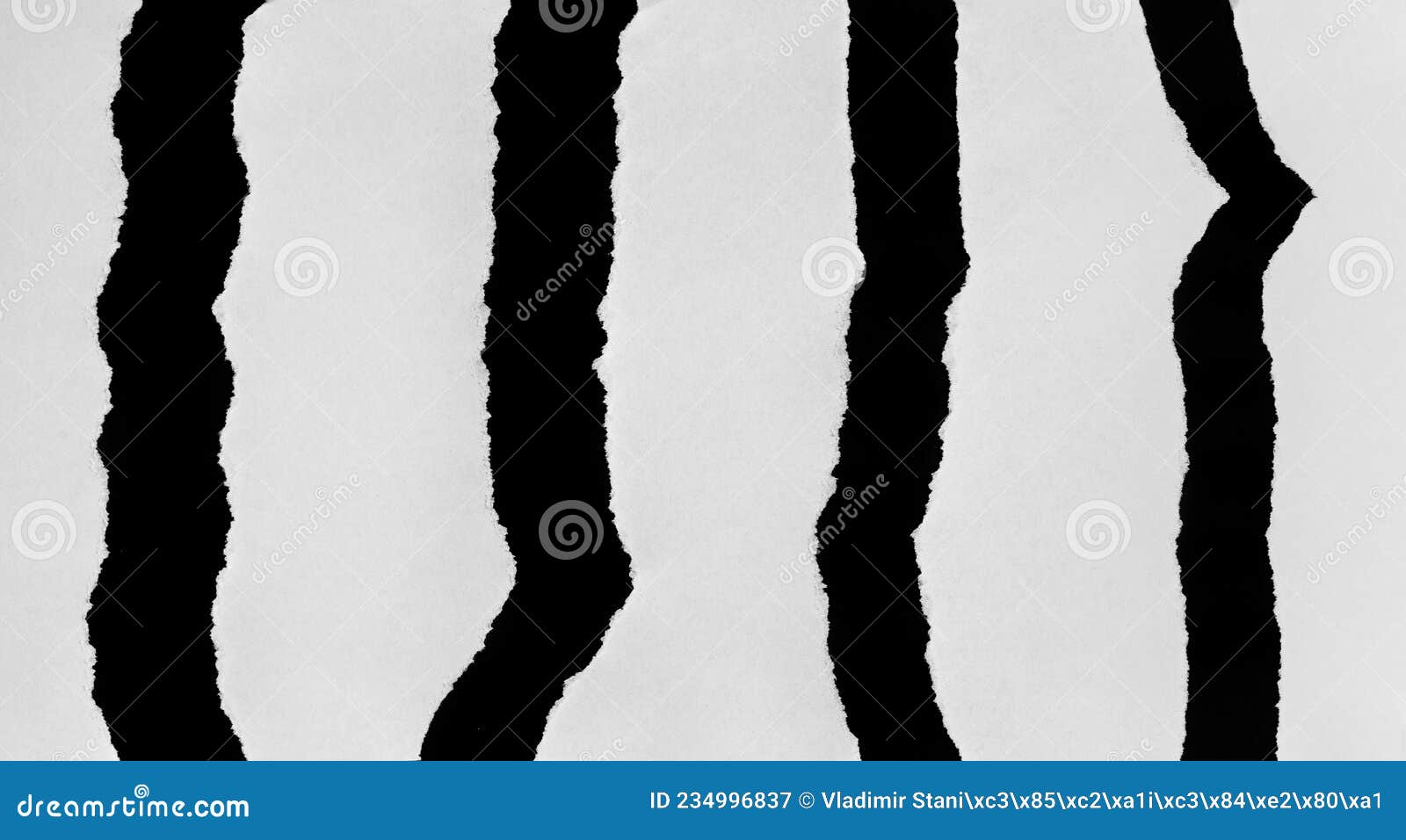 Vertically Torn Paper into Several Pieces. Isolated Pieces in Black ...