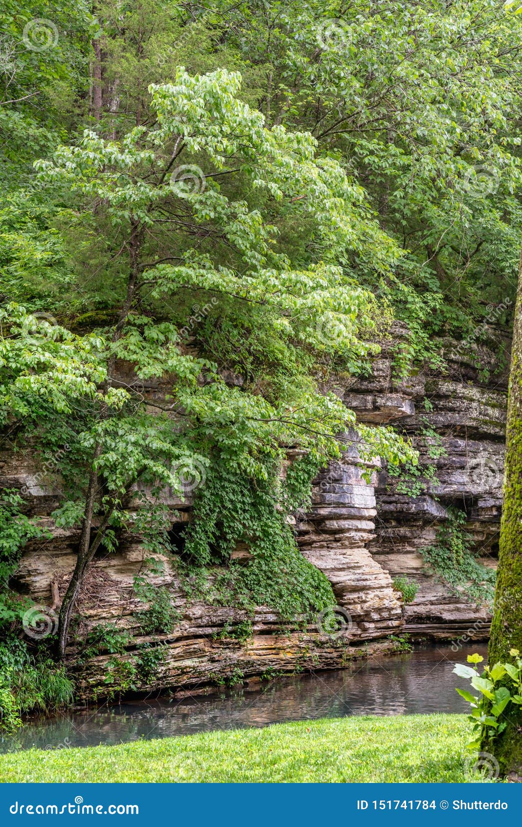 Verticle of Canyon Walls with Stream of Water Stock Photo - Image of ...