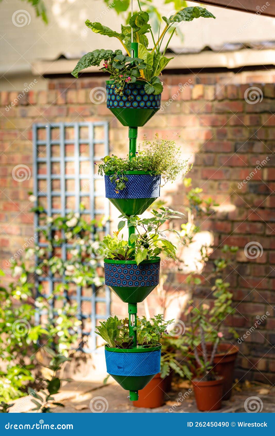 Verticle Garden in Small Backyard Stock Photo - Image of plants, yard ...