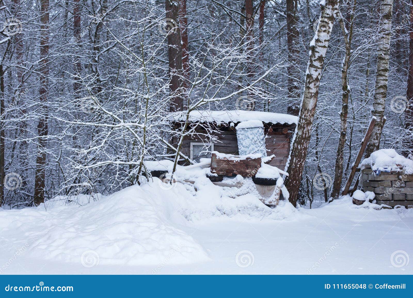 Vertiente De Madera En El Bosque Foto de archivo - Imagen de casa ...