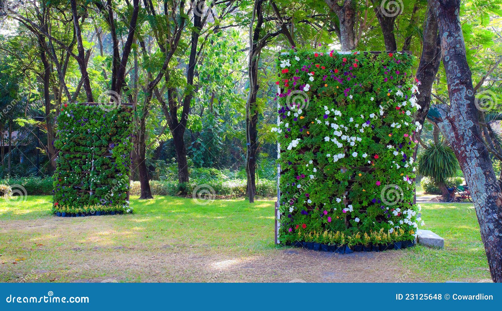 Vertikaler Garten stockfoto. Bild von park, bunt, pflanzen - 23125648