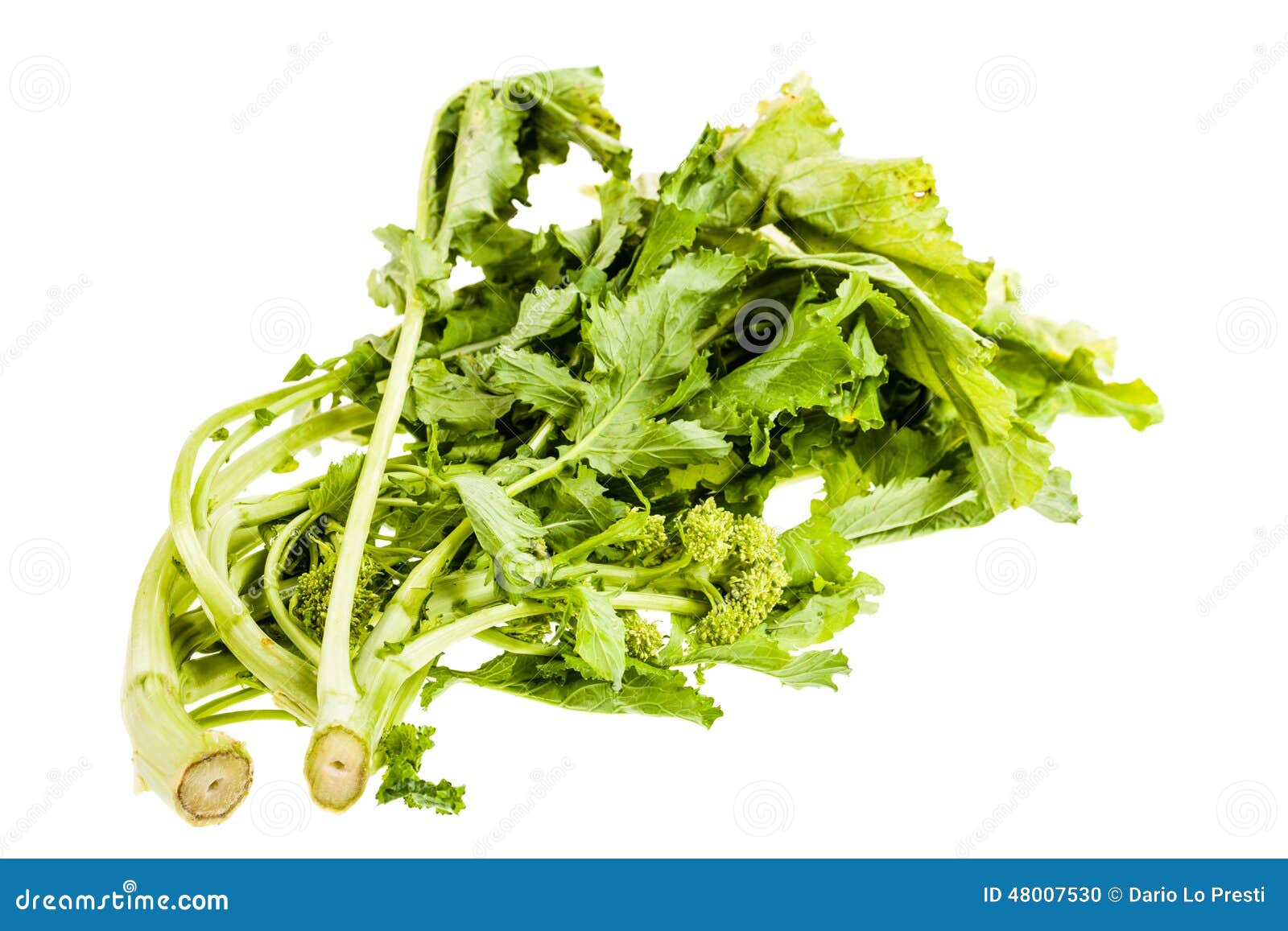 Verts De Navet Italiens Au-dessus De Blanc Photo stock - Image du tiges ...