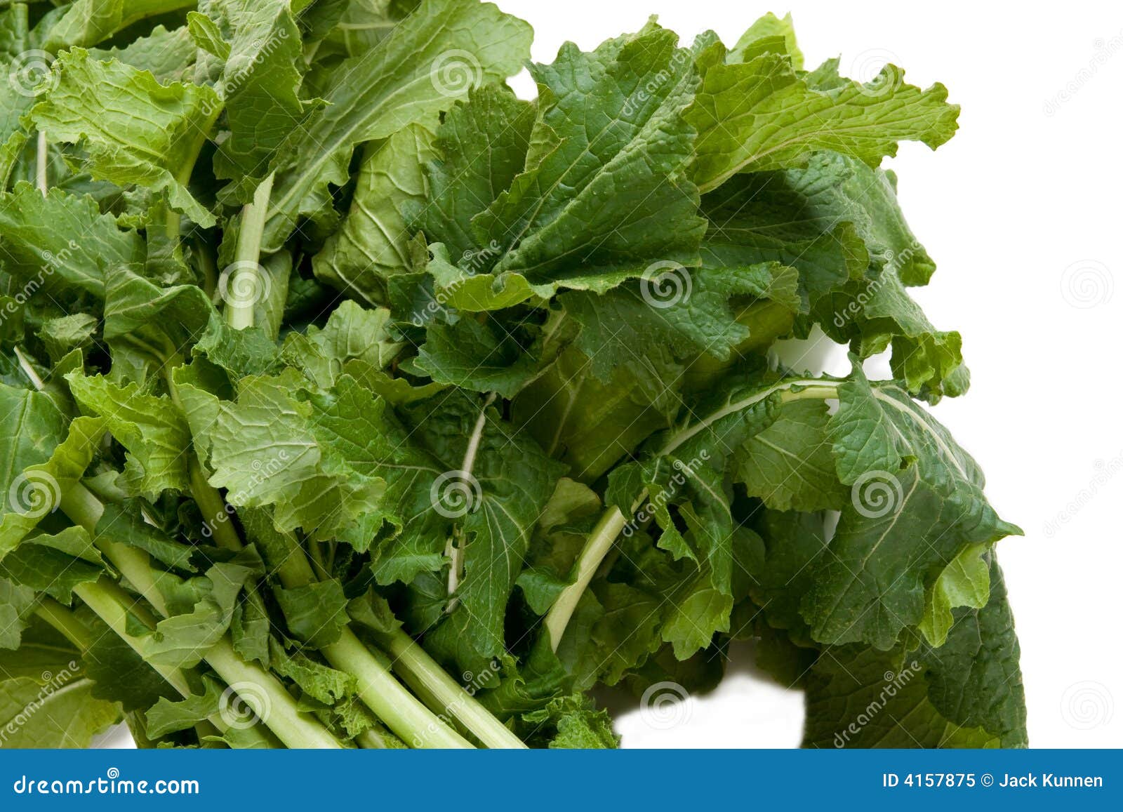 Verts de navet nutritifs image stock. Image du antioxydant - 4157875