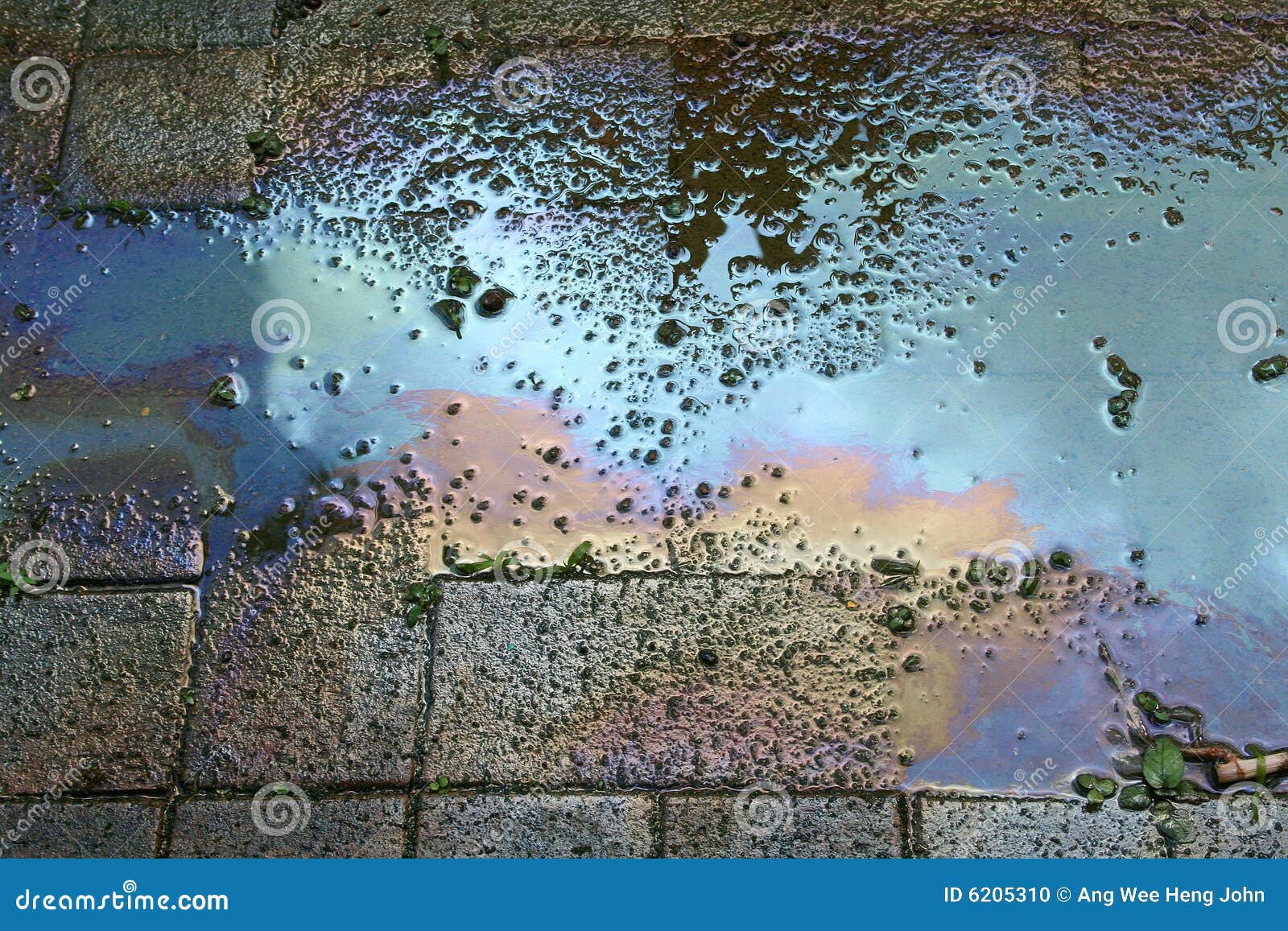 Vervuild water stock foto. Image of water, oppervlakte - 6205310