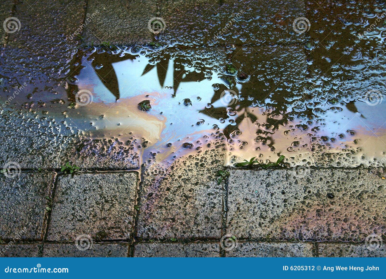 Vervuild water stock foto. Image of chemicaliën, chemisch - 6205312