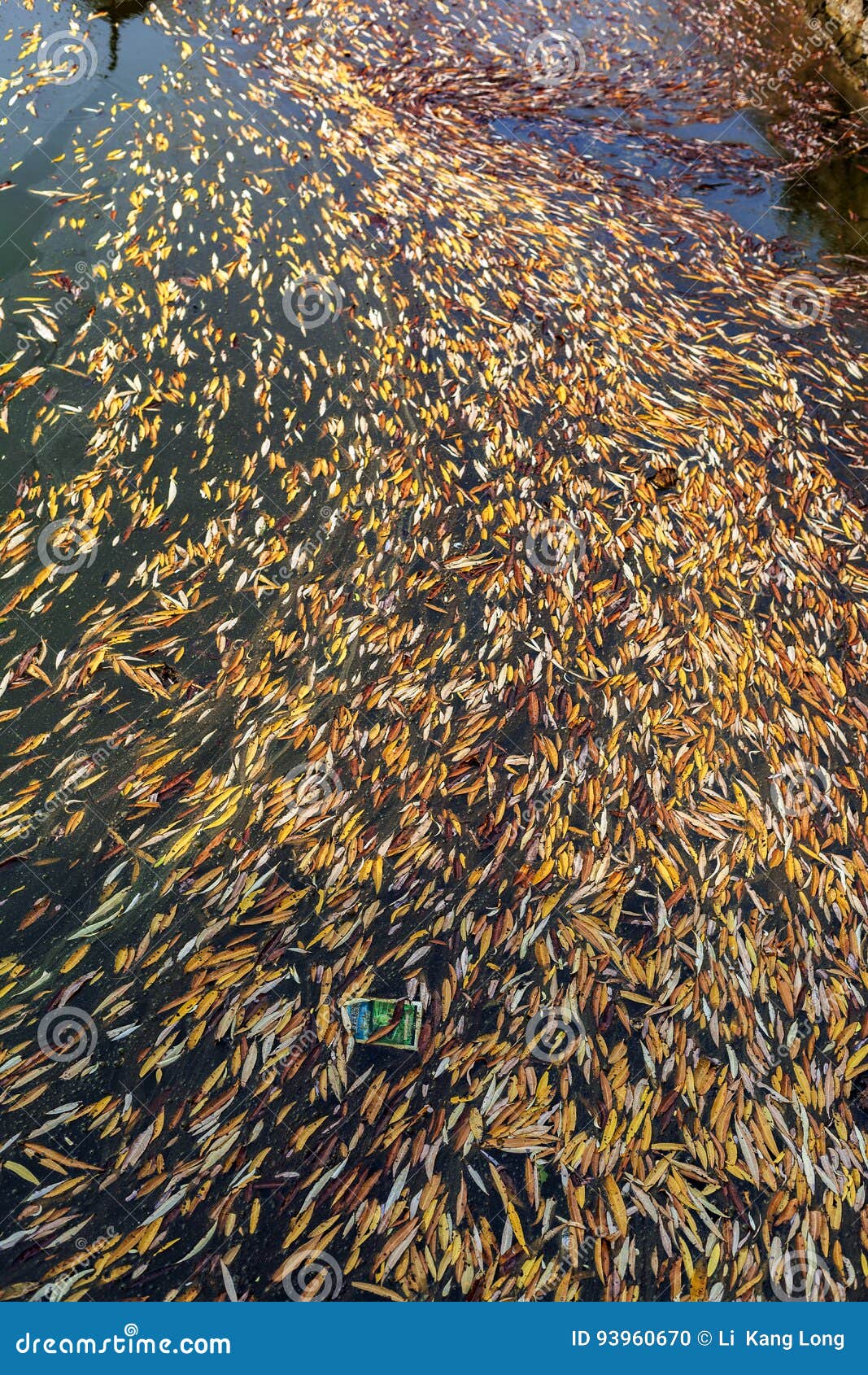 Vervuilde rivier stock foto. Image of afval, scherp, geur - 93960670