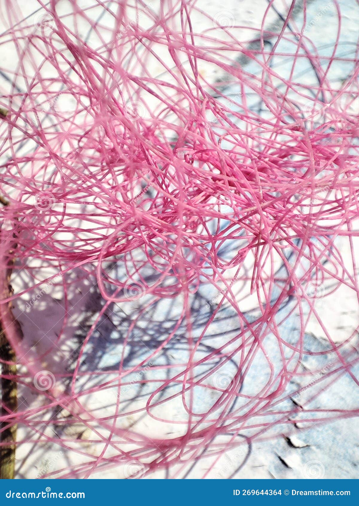 Very Abstract and Beautiful Tangled Strings or Ropes Stock Photo ...